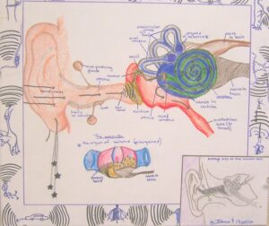 Inspiring and Challenging Students with Single-Subject Lesson Blocks ...