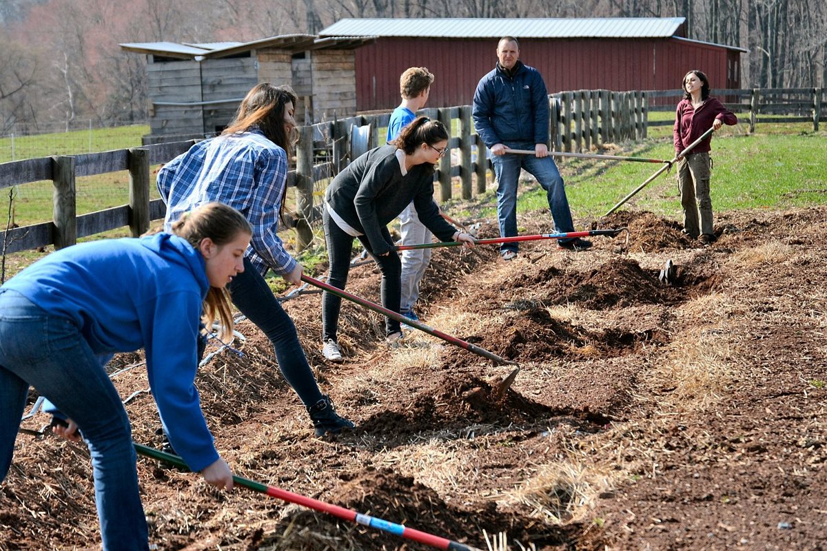 Field Trips & Service Projects | Washington Waldorf School