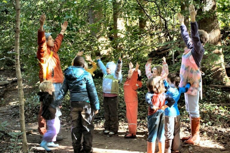 Waldorf in the Woods | Washington Waldorf School