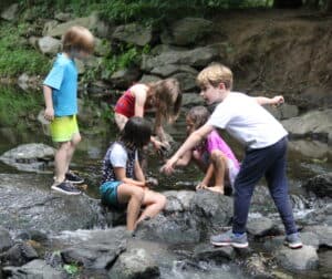Summer Camps | Washington Waldorf School