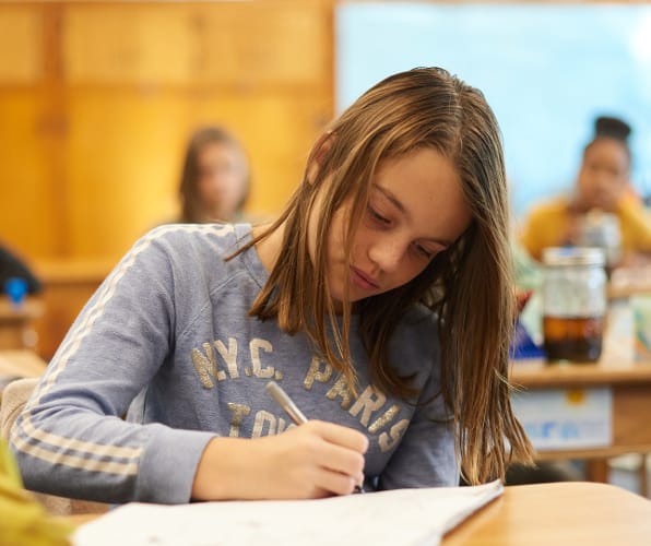 Summer Camps | Washington Waldorf School