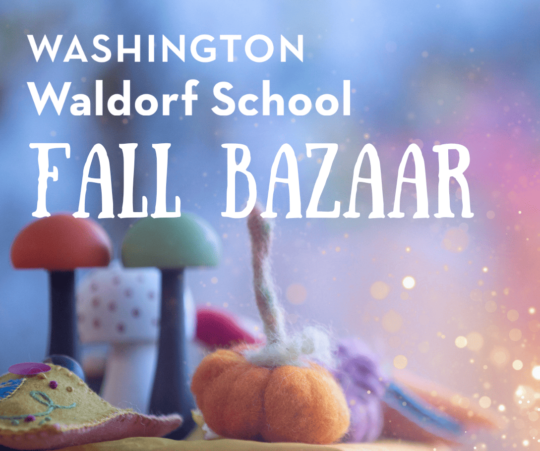 Fall Bazaar Vendor Applications Now Open | Washington Waldorf School