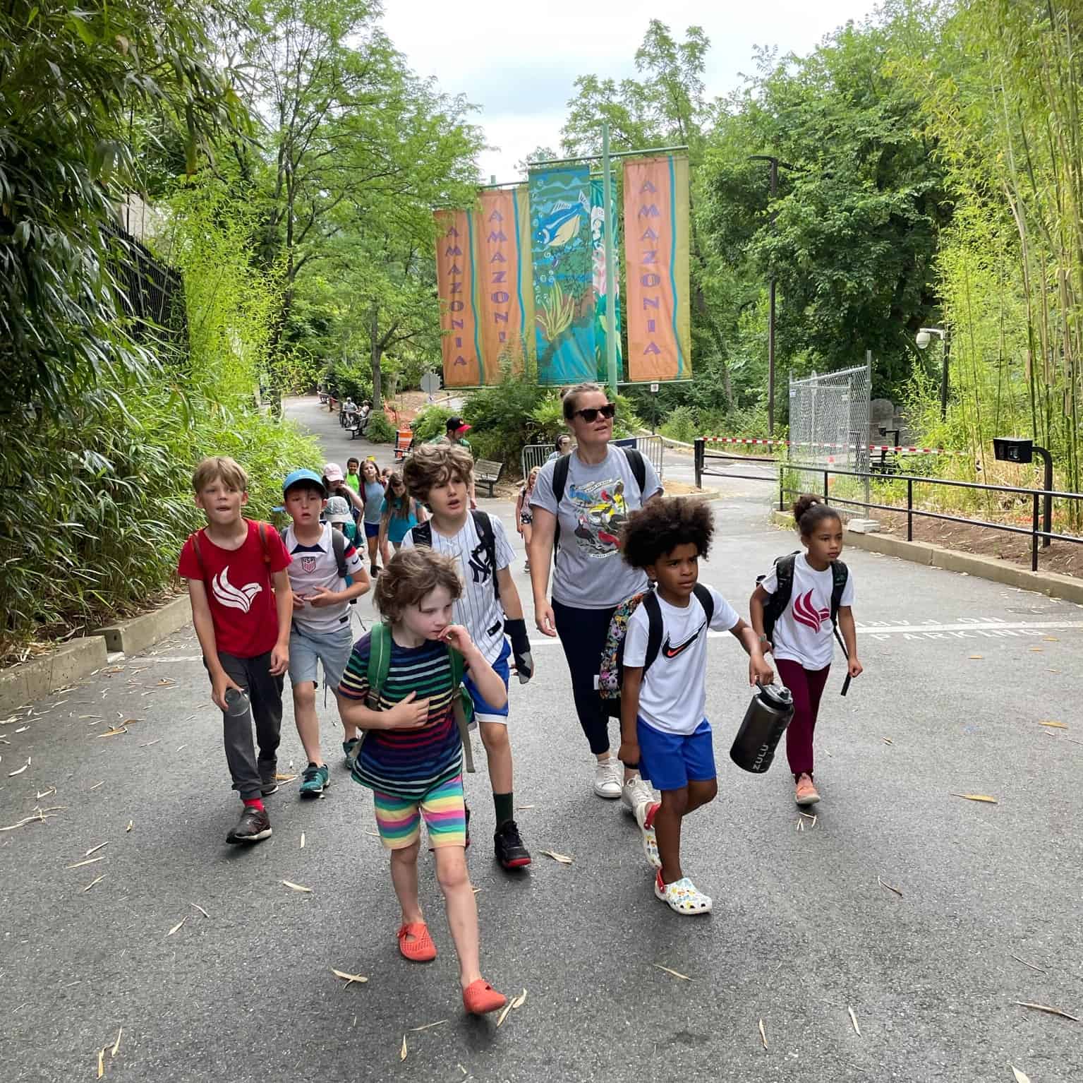 Summer Camps | Washington Waldorf School