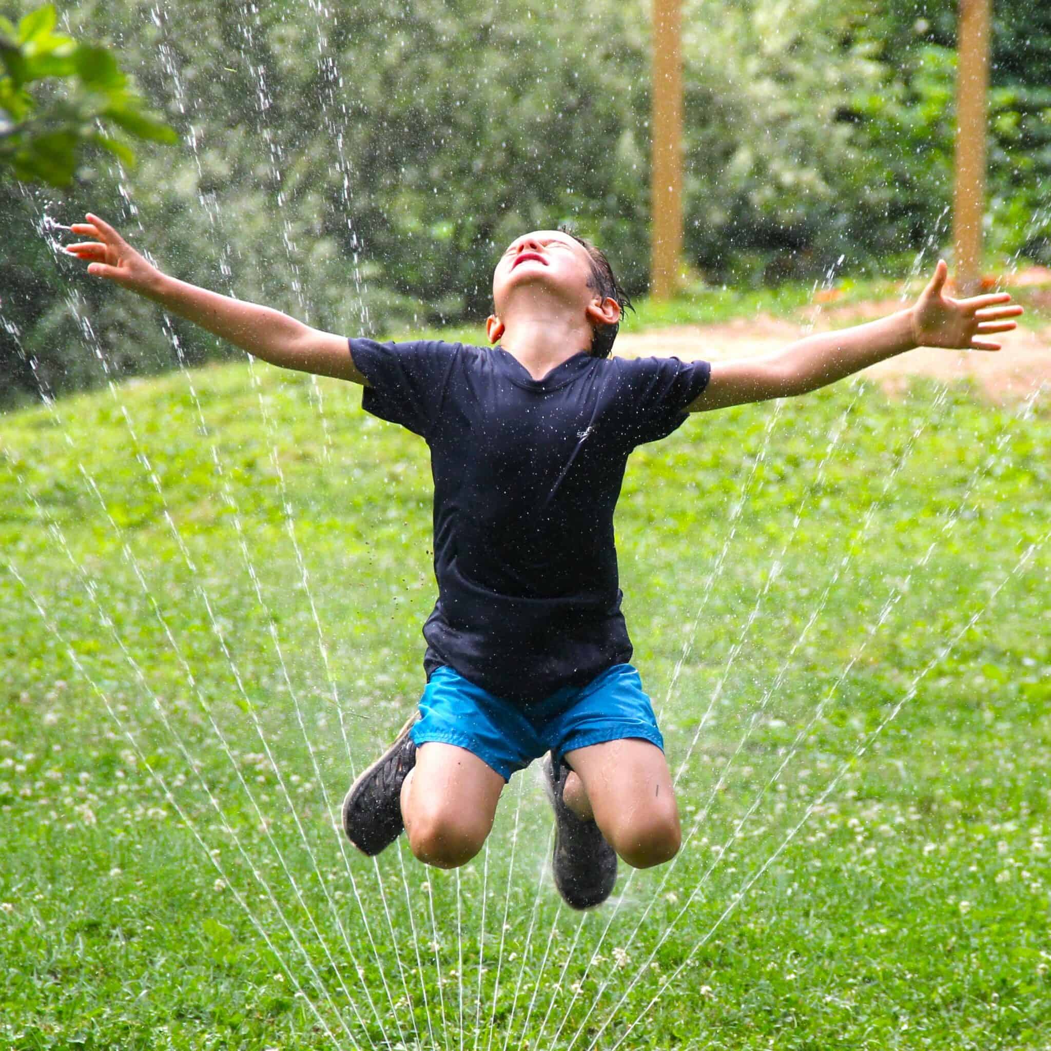 Summer Camps | Washington Waldorf School